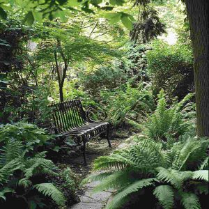 20 Lush Shade Garden Ideas Under Trees - Bloomy Heaven