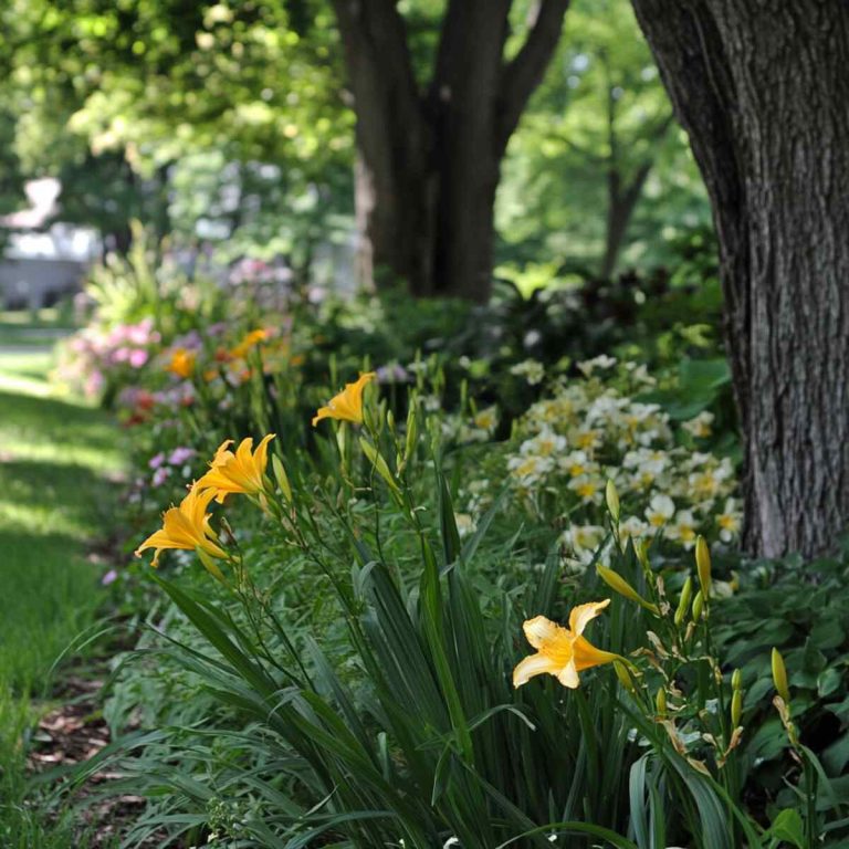 20 Lush Shade Garden Ideas Under Trees - Bloomy Heaven