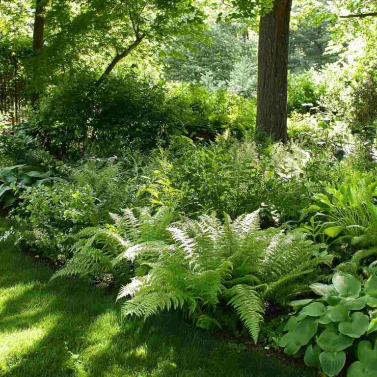 20 Lush Shade Garden Ideas Under Trees - Bloomy Heaven