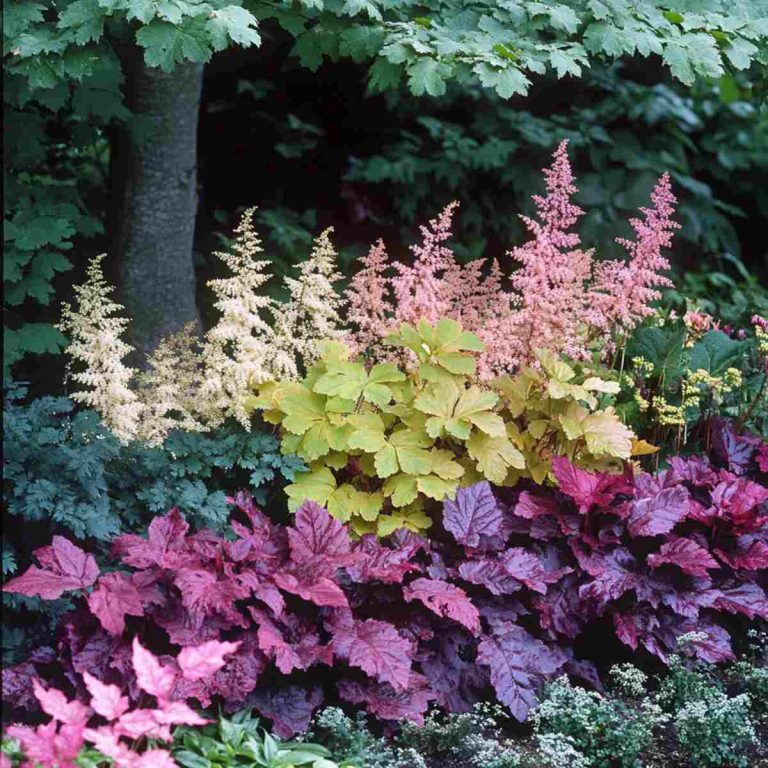 20 Lush Shade Garden Ideas Under Trees - Bloomy Heaven