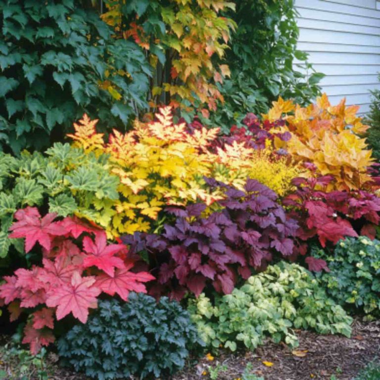 25 Vibrant Shade Garden Ideas to Spark Color in Dark Corners