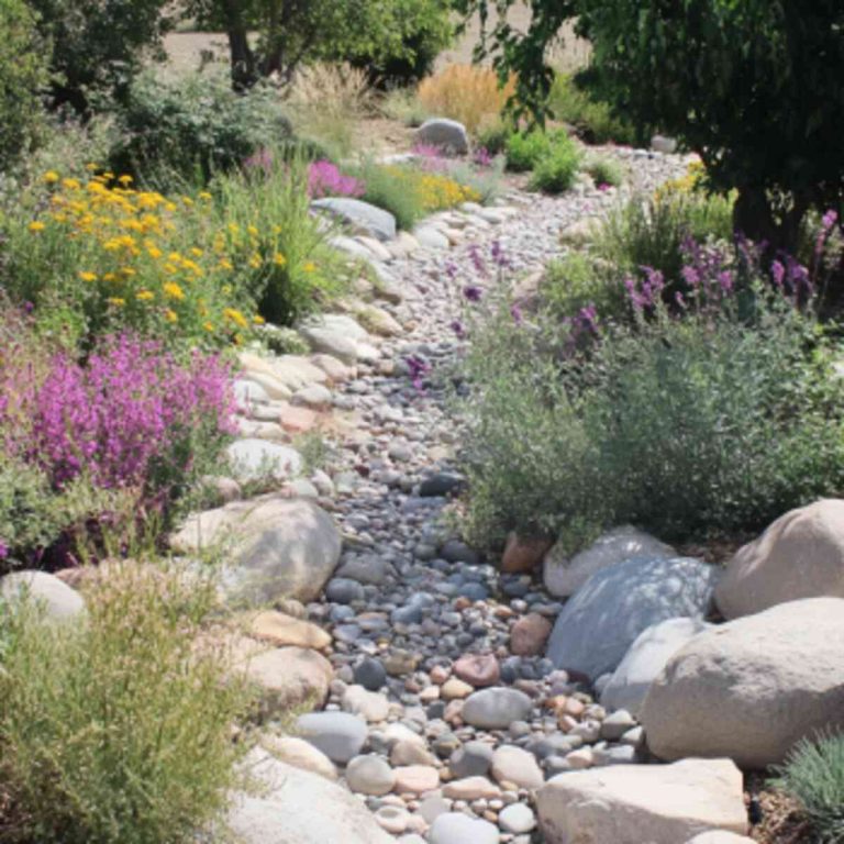 19 Desert Garden Ideas to Add Natural Beauty to Your Backyard
