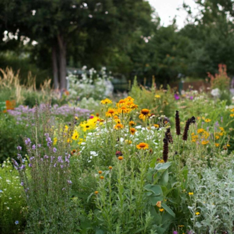 23 Creative Pollinator Garden Ideas to Boost Your Backyard