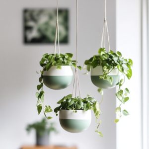 21 Creative Indoor Plant Display Ideas for Every Space