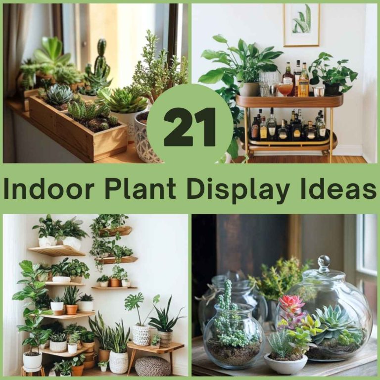 21 Creative Indoor Plant Display Ideas for Every Space