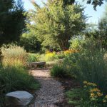 23 Creative Pollinator Garden Ideas to Boost Your Backyard