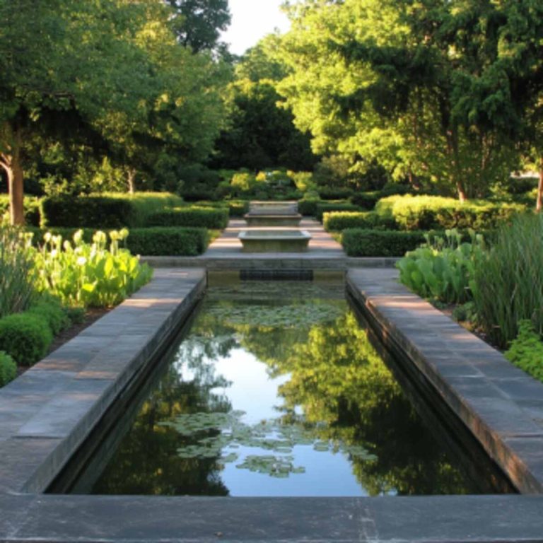 20 Unique Water Garden Ideas for a Calm and Beautiful Backyard