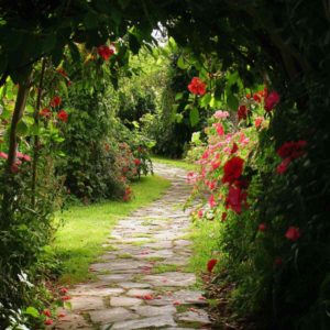 21 Fun Kid Friendly Garden Ideas for Outdoor Fun and Learning