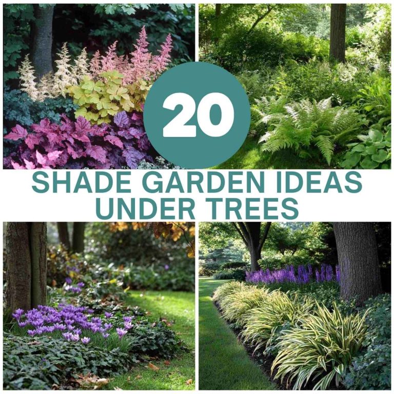 20 Lush Shade Garden Ideas Under Trees - Bloomy Heaven