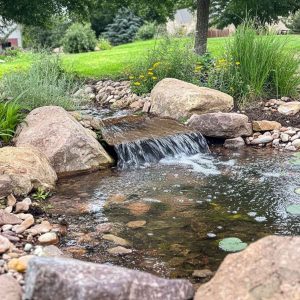 7 Creative Garden Pond Ideas to Add Tranquility to Your Garden