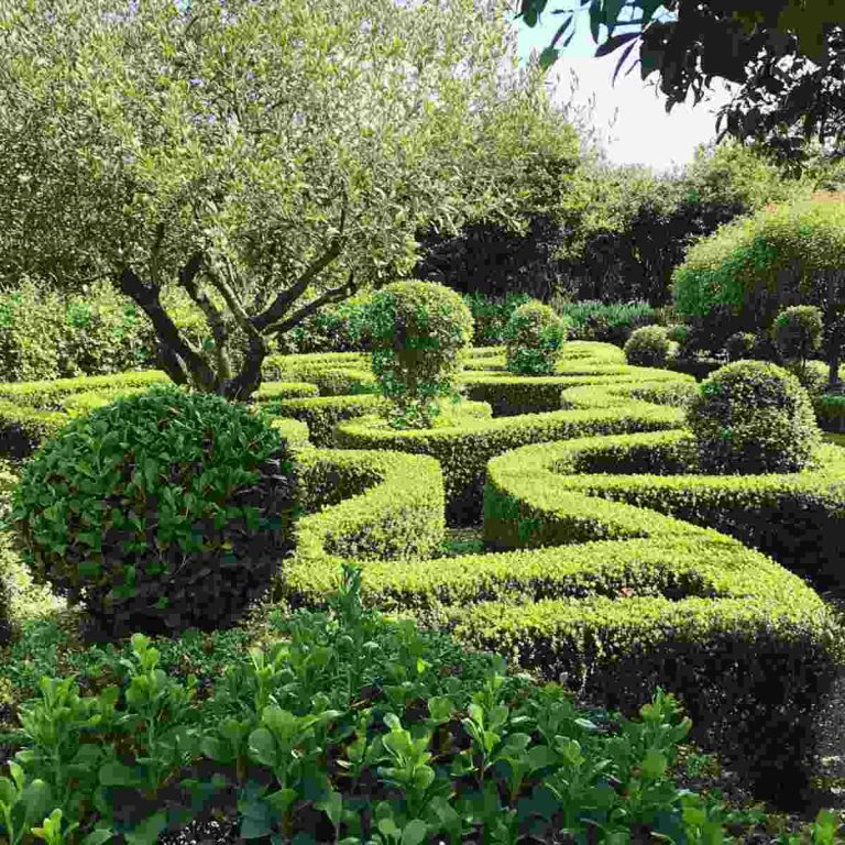 Creative Topiary Garden Ideas for a Sophisticated Landscape