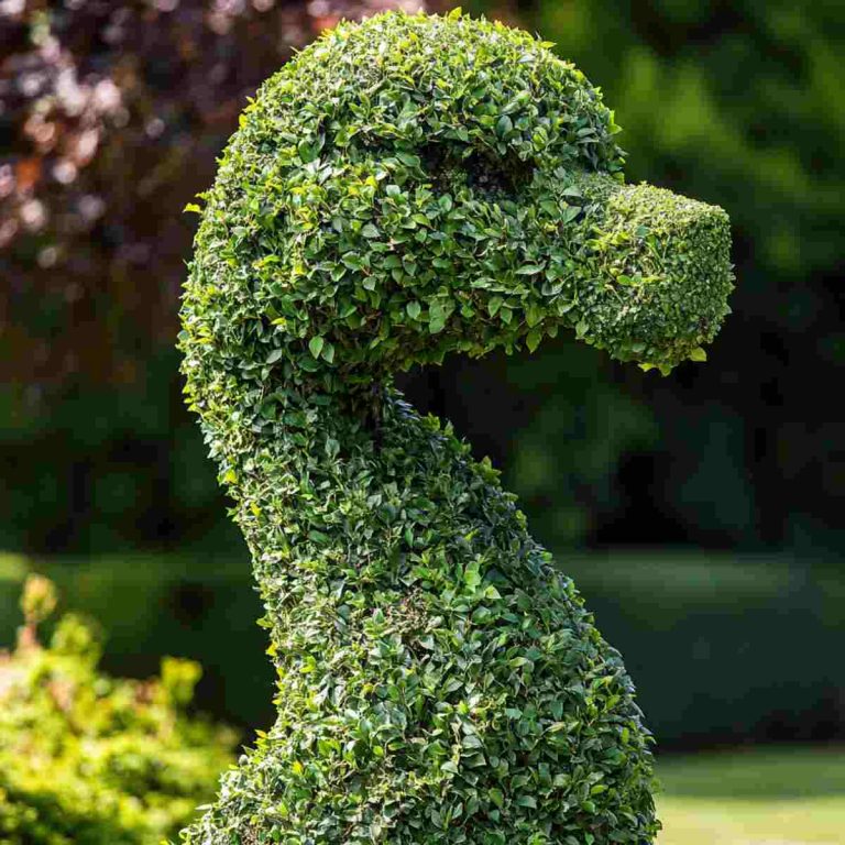 Creative Topiary Garden Ideas for a Sophisticated Landscape
