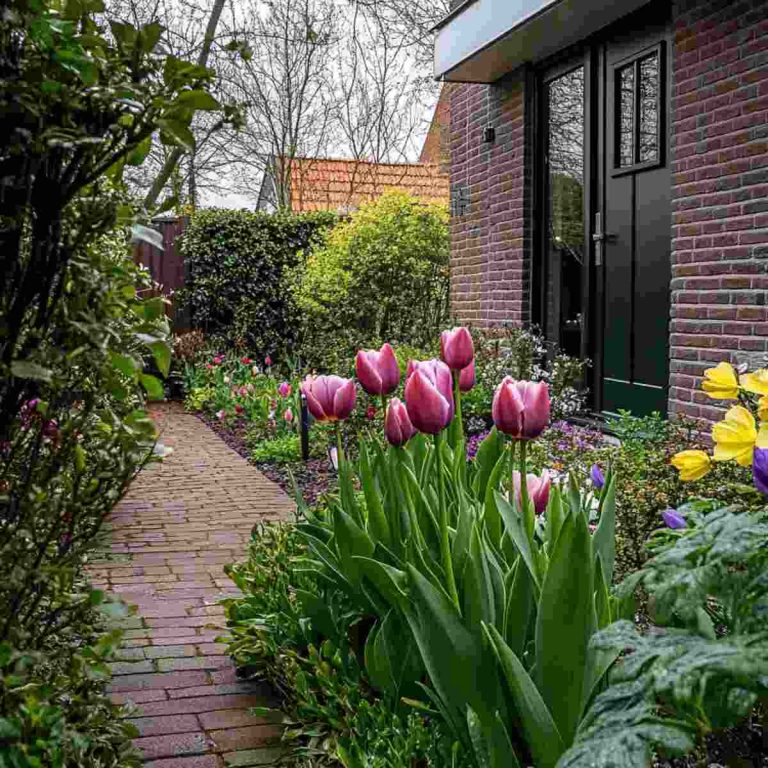 12 Easy Spring Bulb Garden Ideas for a Vibrant Garden