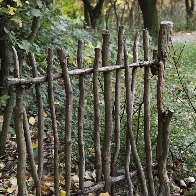 10 Beautiful Rustic Garden Ideas for a Country Vibe