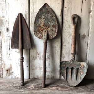 10 Beautiful Rustic Garden Ideas for a Country Vibe