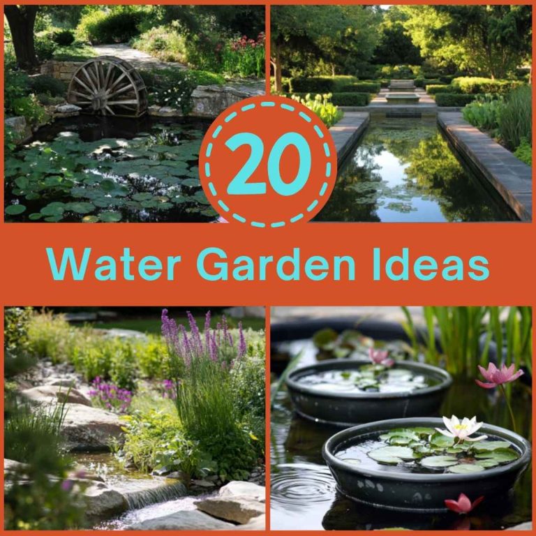 20 Unique Water Garden Ideas for a Calm and Beautiful Backyard