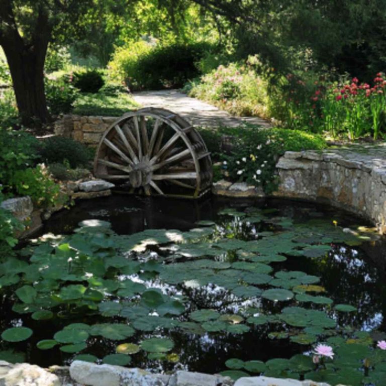 20 Unique Water Garden Ideas for a Calm and Beautiful Backyard