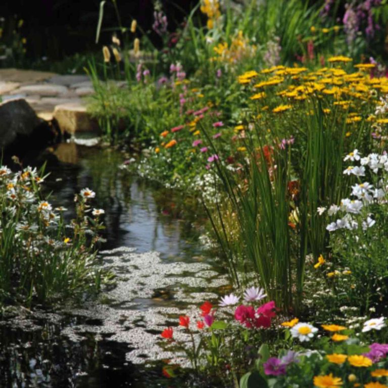 20 Unique Water Garden Ideas for a Calm and Beautiful Backyard