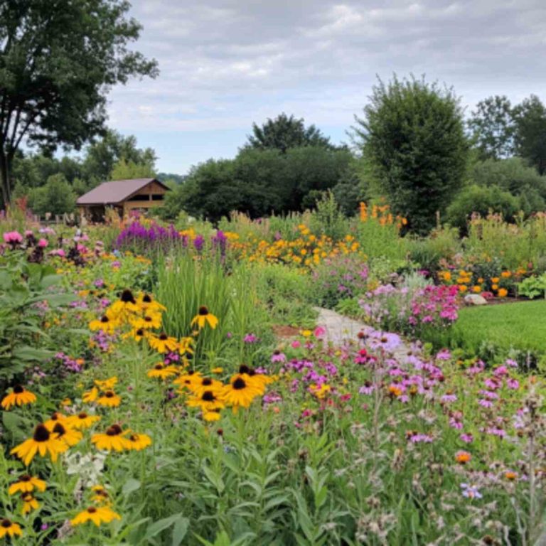 23 Creative Pollinator Garden Ideas to Boost Your Backyard