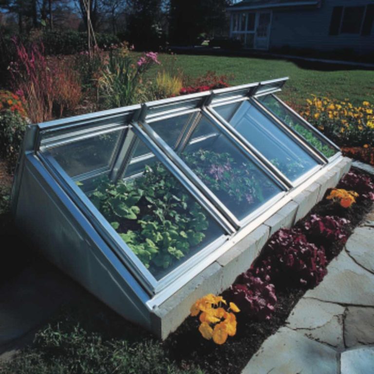 21 Beautiful Cold Frame Gardening Ideas to Try This Season
