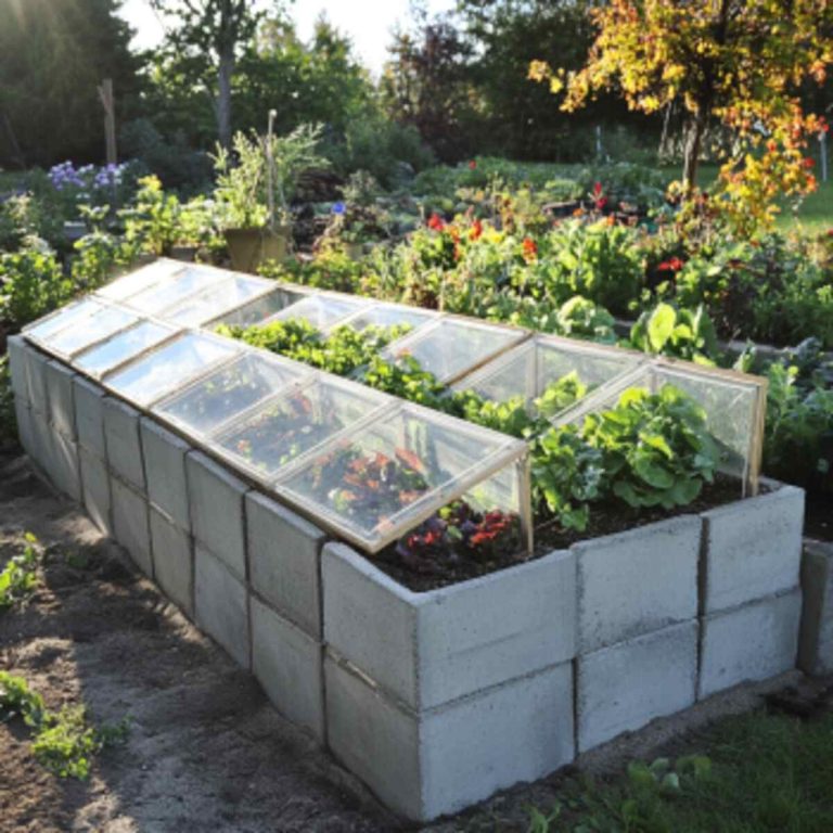21 Beautiful Cold Frame Gardening Ideas to Try This Season