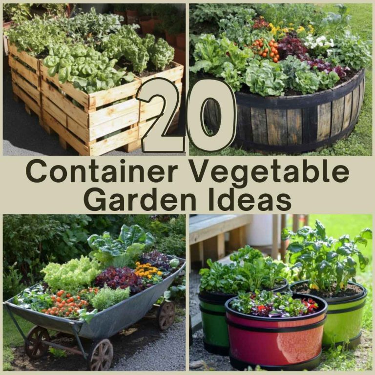 20 Creative Container Vegetable Garden Ideas for Small Spaces