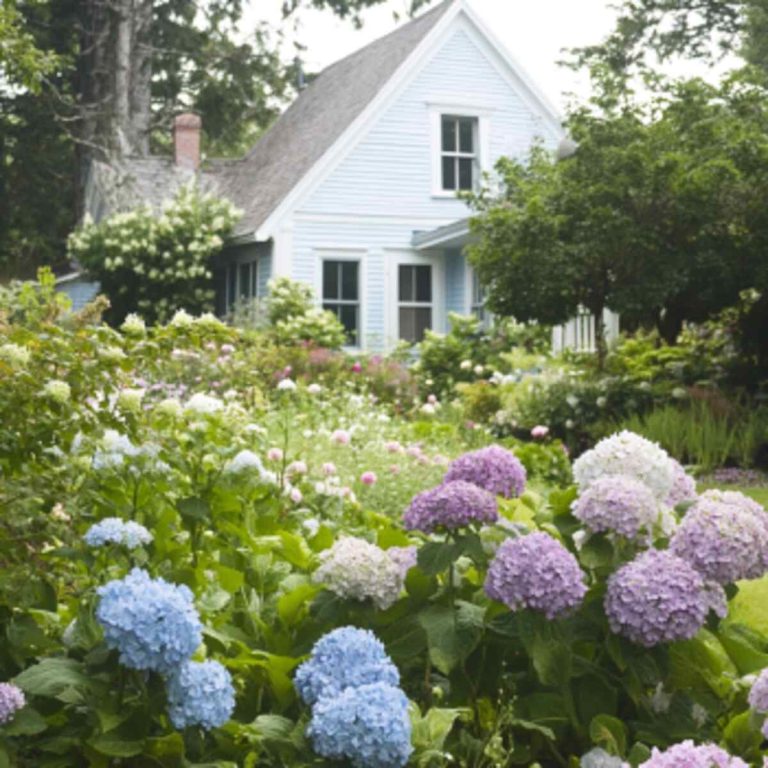 20 Beautiful Hydrangea Landscaping Ideas to Brighten Your Outdoor Space