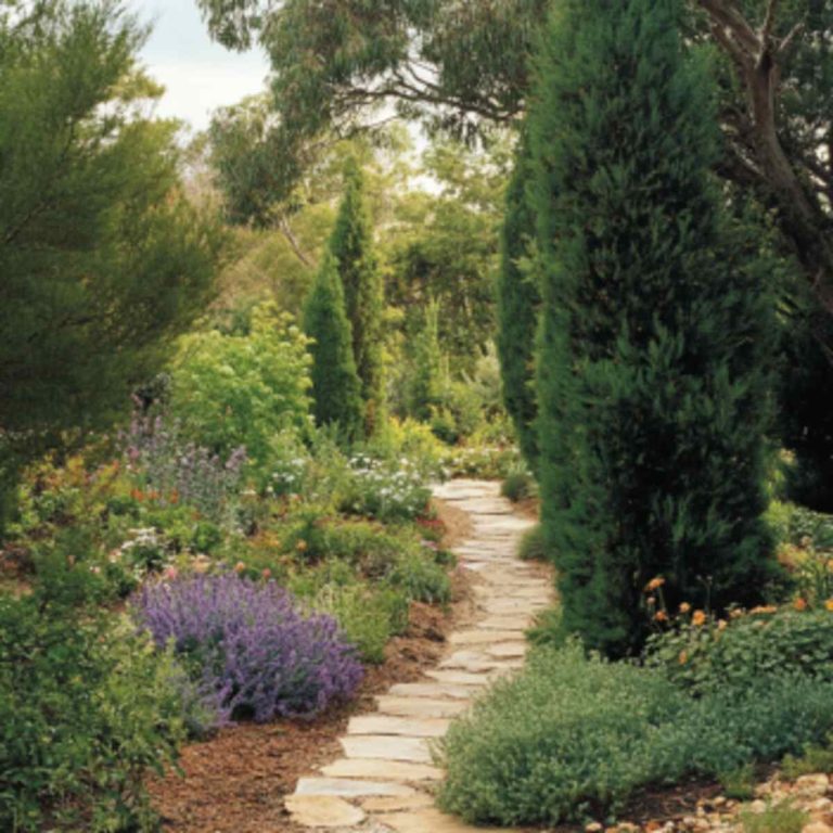 25 Creative Forest Garden Ideas for Your Green Paradise