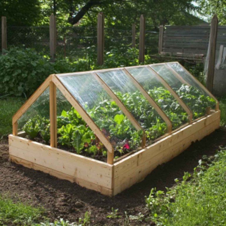 21 Beautiful Cold Frame Gardening Ideas to Try This Season