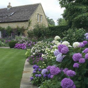 20 Beautiful Hydrangea Landscaping Ideas to Brighten Your Outdoor Space