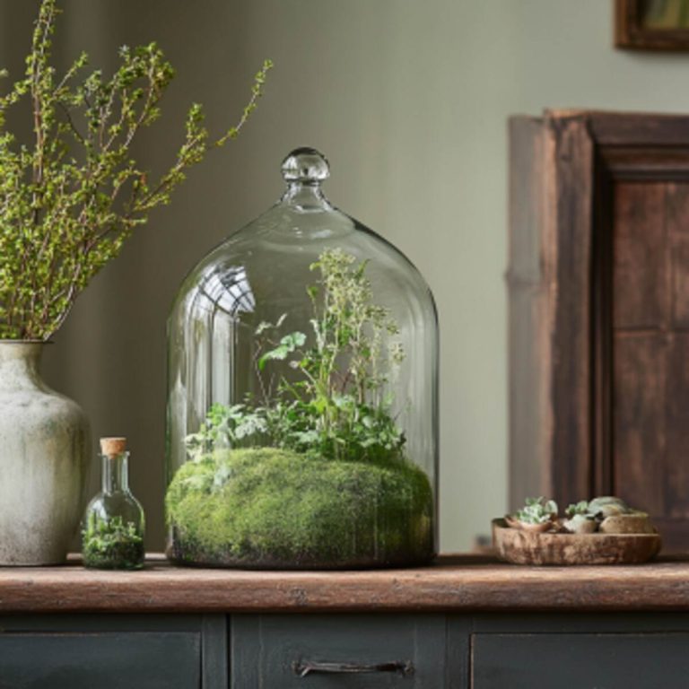 19 Moss Garden Ideas to Refresh Your Outdoor and Indoor Spaces