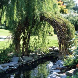 19 Unique Garden Arbor Ideas for Climbing Plants and Decor