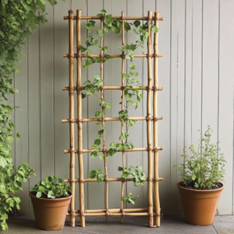 23 Budget-Friendly Garden Ideas to Beautify Your Yard