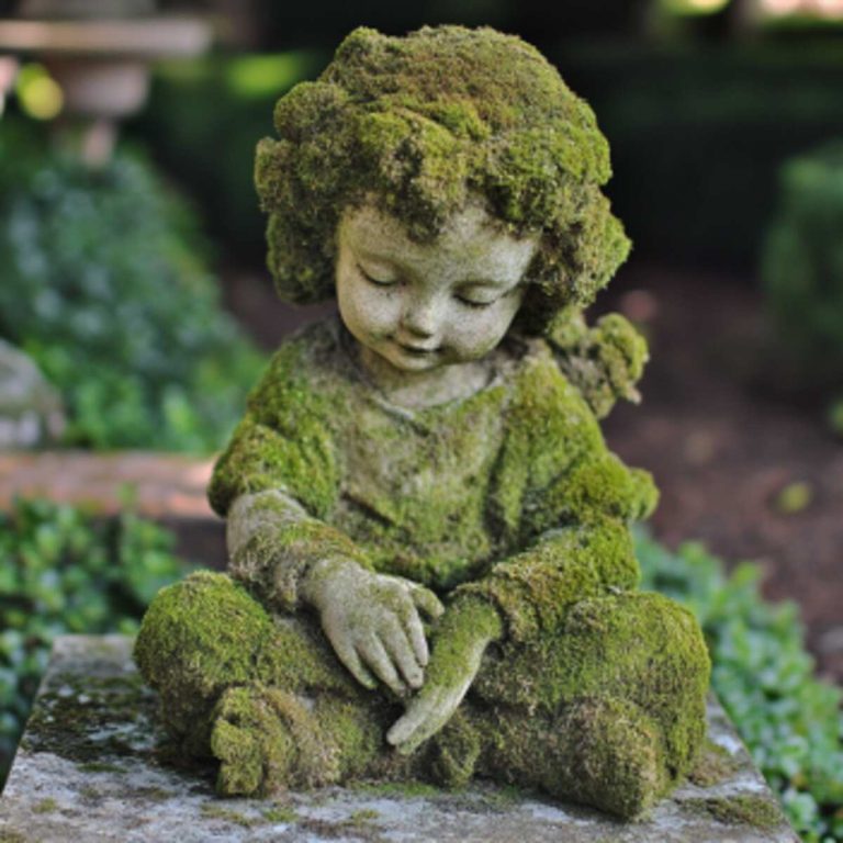 19 Moss Garden Ideas to Refresh Your Outdoor and Indoor Spaces
