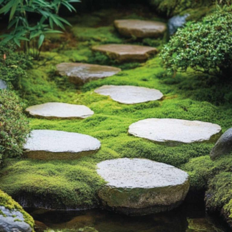 19 Moss Garden Ideas to Refresh Your Outdoor and Indoor Spaces