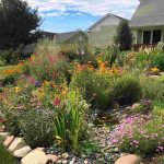 11 Top Rain Garden Ideas for Small and Large Yards
