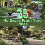 25 Creative No Grass Front Yard Ideas for Easy Maintenance