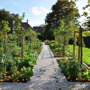 15 Decorative Vegetable Garden Ideas for Your Backyard