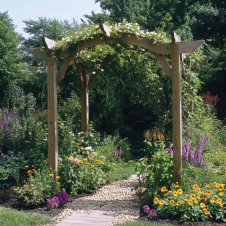 19 Unique Garden Arbor Ideas for Climbing Plants and Decor