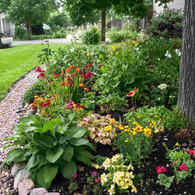 11 Top Rain Garden Ideas for Small and Large Yards