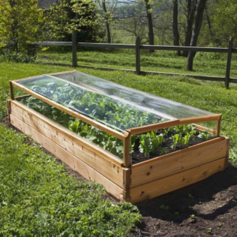 21 Beautiful Cold Frame Gardening Ideas to Try This Season