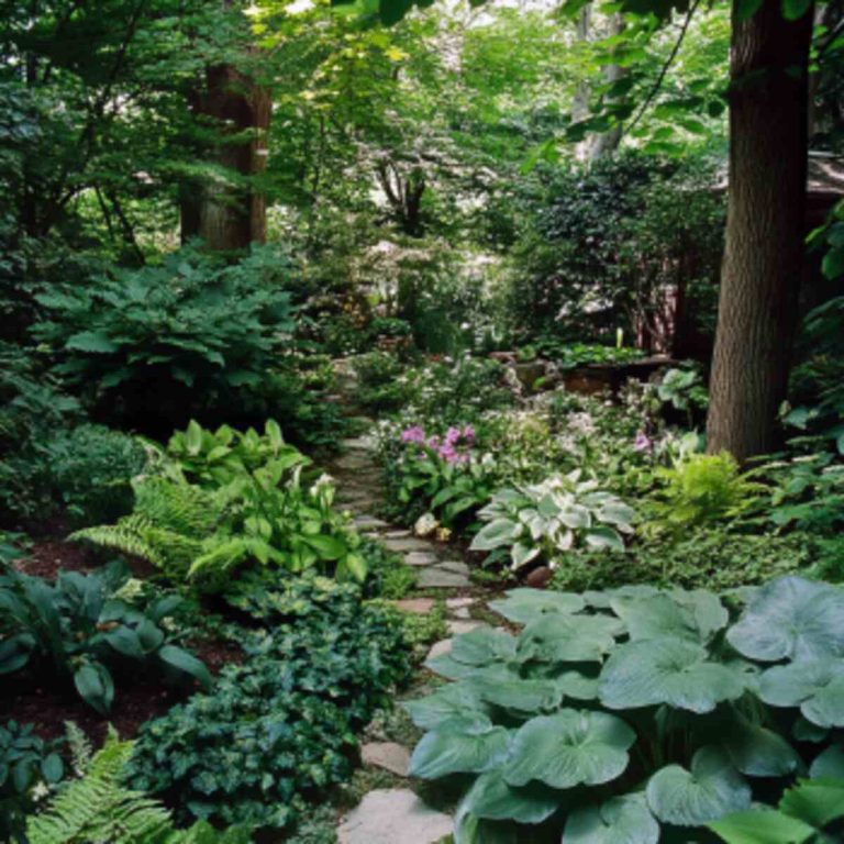25 Creative Forest Garden Ideas for Your Green Paradise