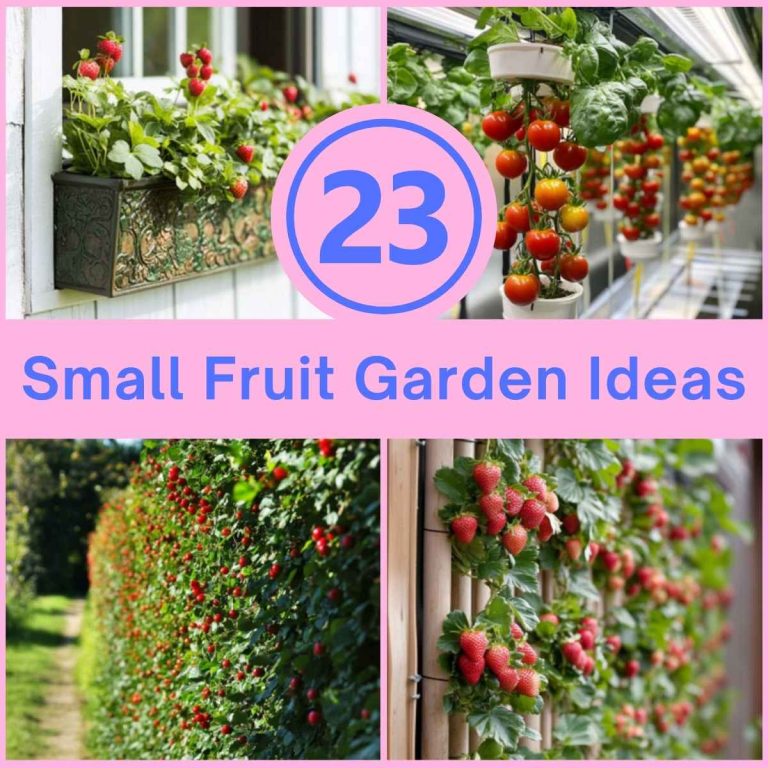 23 Small Fruit Garden Ideas to Grow Fresh Produce in Small Spaces