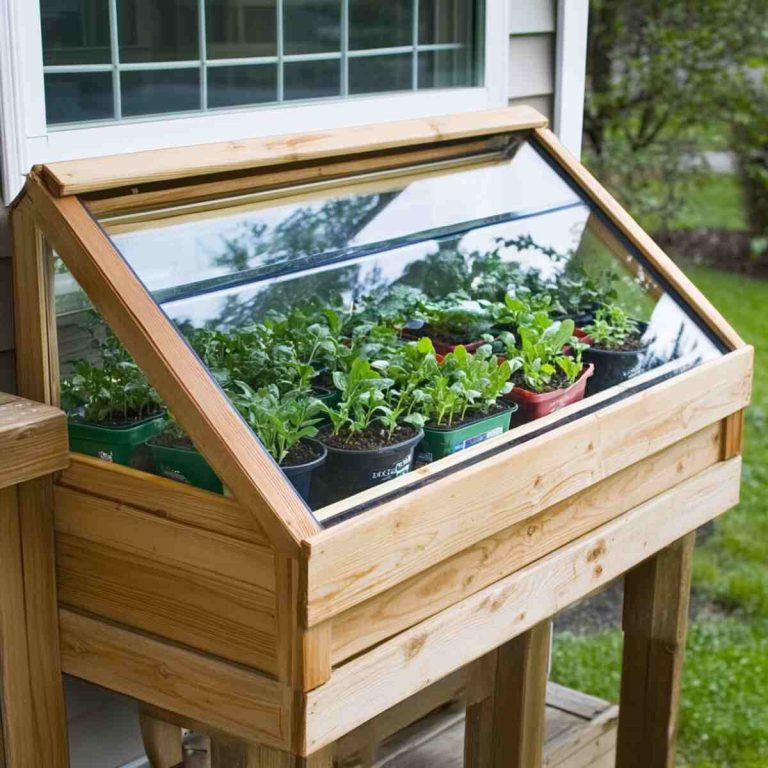 21 Beautiful Cold Frame Gardening Ideas to Try This Season
