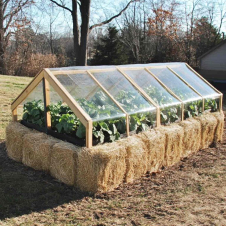 21 Beautiful Cold Frame Gardening Ideas to Try This Season