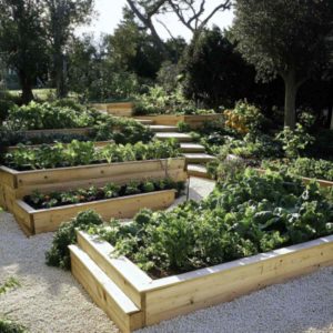 15 Decorative Vegetable Garden Ideas for Your Backyard