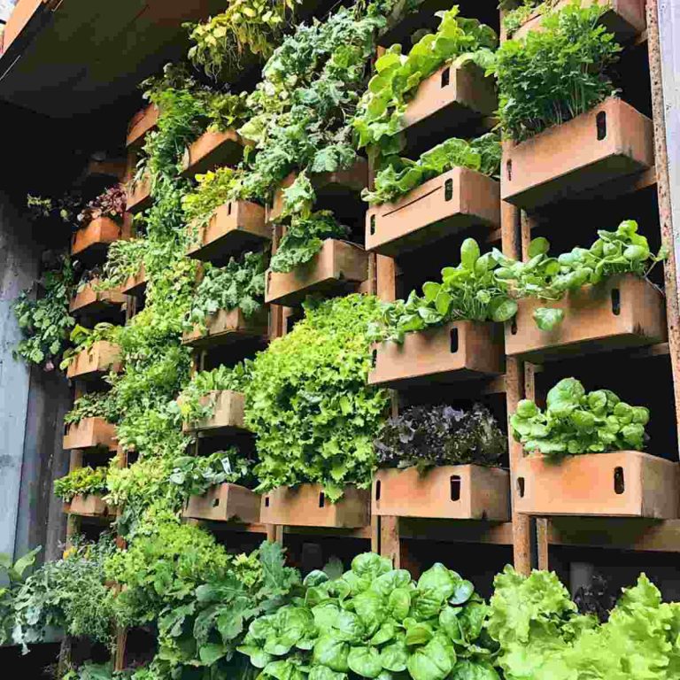 10 Best Urban Vegetable Garden Ideas for Small Spaces