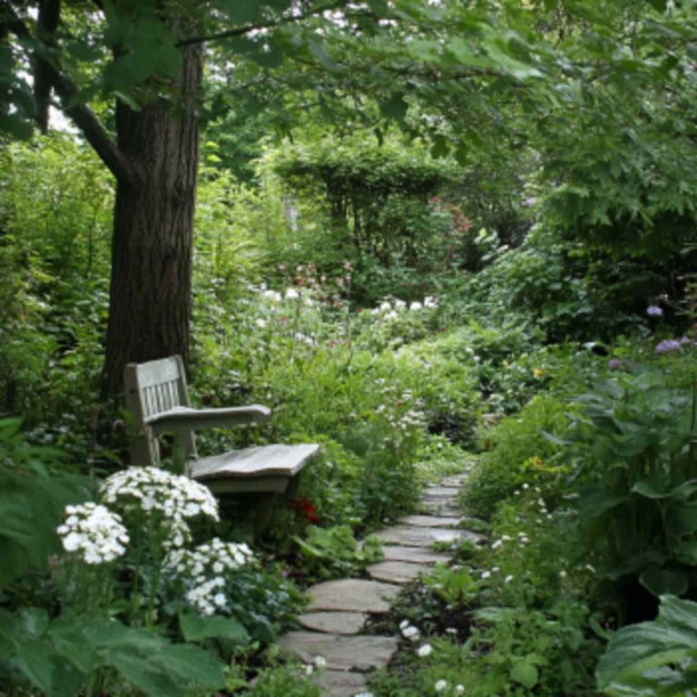 25 Creative Forest Garden Ideas for Your Green Paradise
