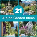 21 Low-Maintenance Alpine Garden Ideas to Beautify Your Garden
