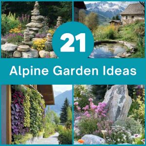 21 Low-Maintenance Alpine Garden Ideas to Beautify Your Garden